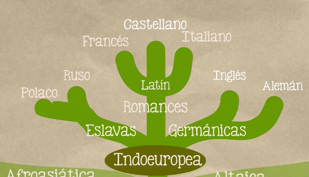 Profesor de español: la influencia del latín y el griego en el idioma