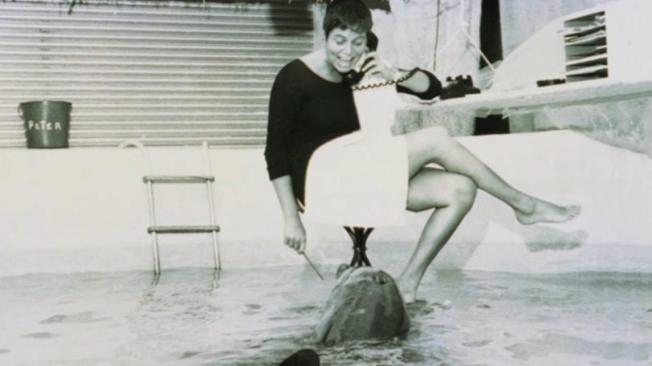 La Investigación de Howe Lovatt con Peter el Delfín